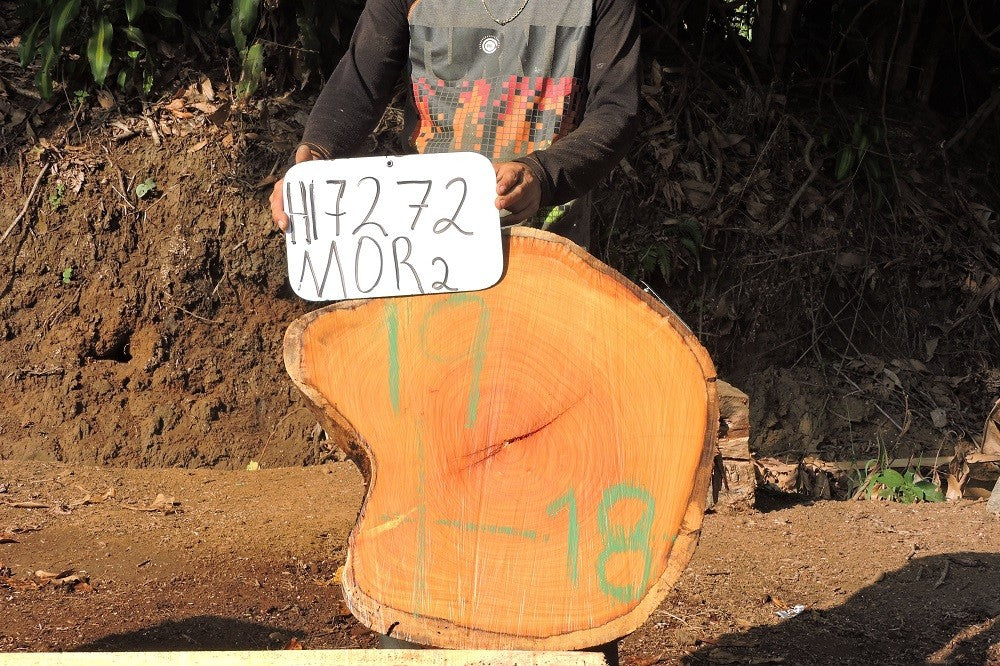 52 H17272MOR – Wood n Things Gretna